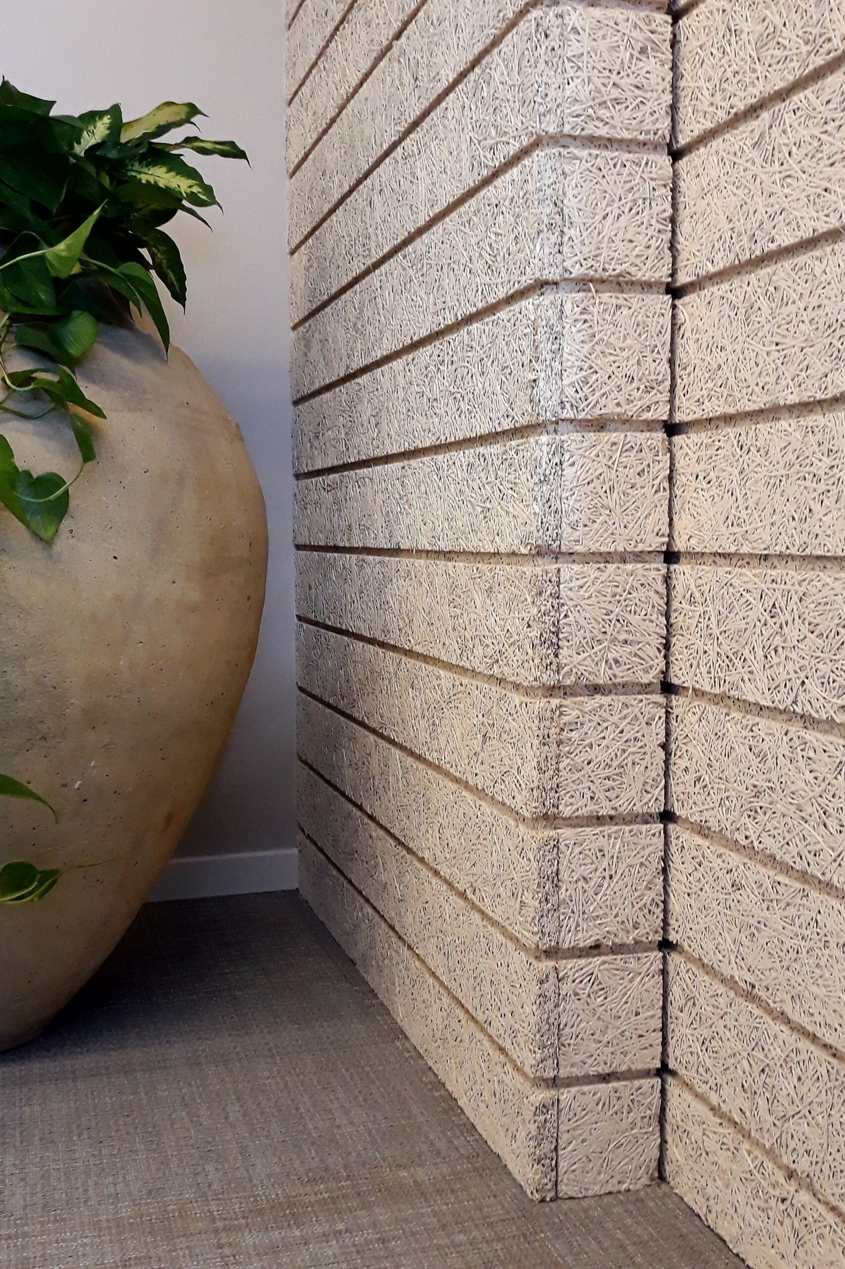 Services - Project Technik